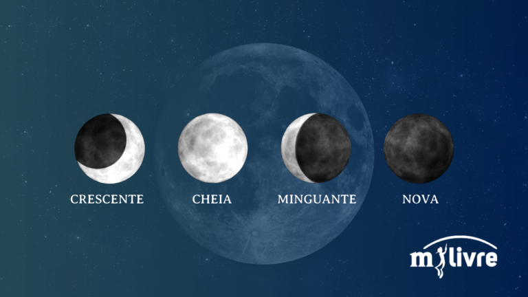 Qual a melhor lua para pesca sub? - Cursos de Mergulho Livre, curso de ...